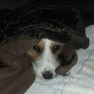 Die Wilde H.O.R.D.E. 🎲 Teil 4 (Akt 1 - Finale) - GronkhTV - Alle ...